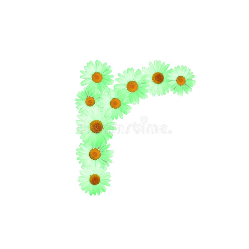 Green Daisy Letter R Stock Illustrations – 20 Green Daisy Letter R ...