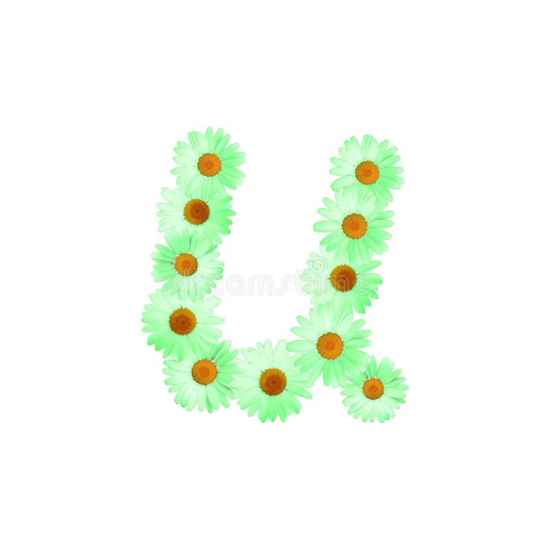 Green Daisy Letter U Stock Illustrations – 16 Green Daisy Letter U ...