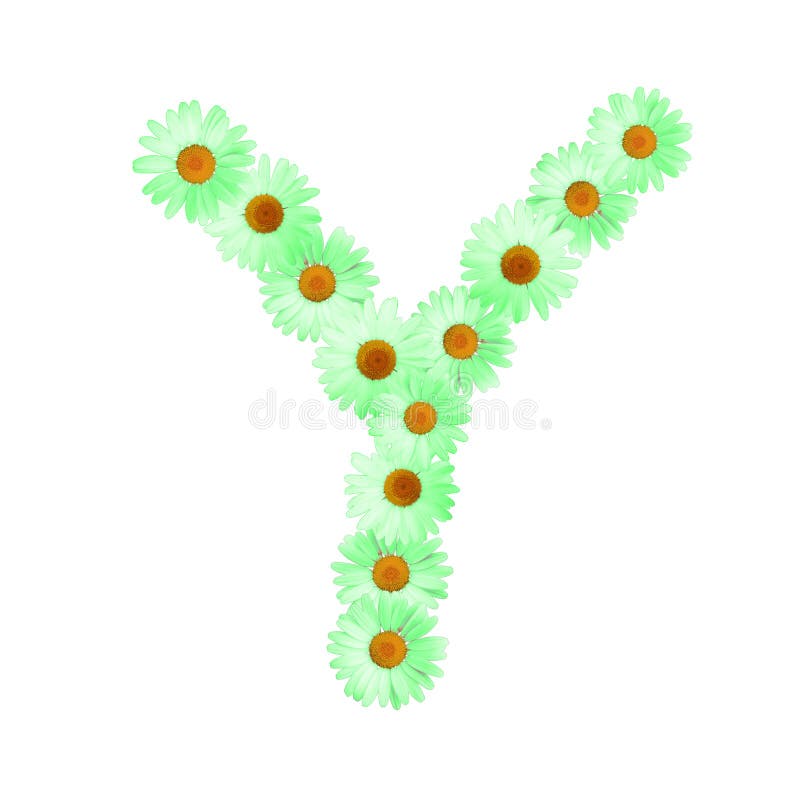Green Daisy Letter Y Stock Illustrations – 20 Green Daisy Letter Y ...