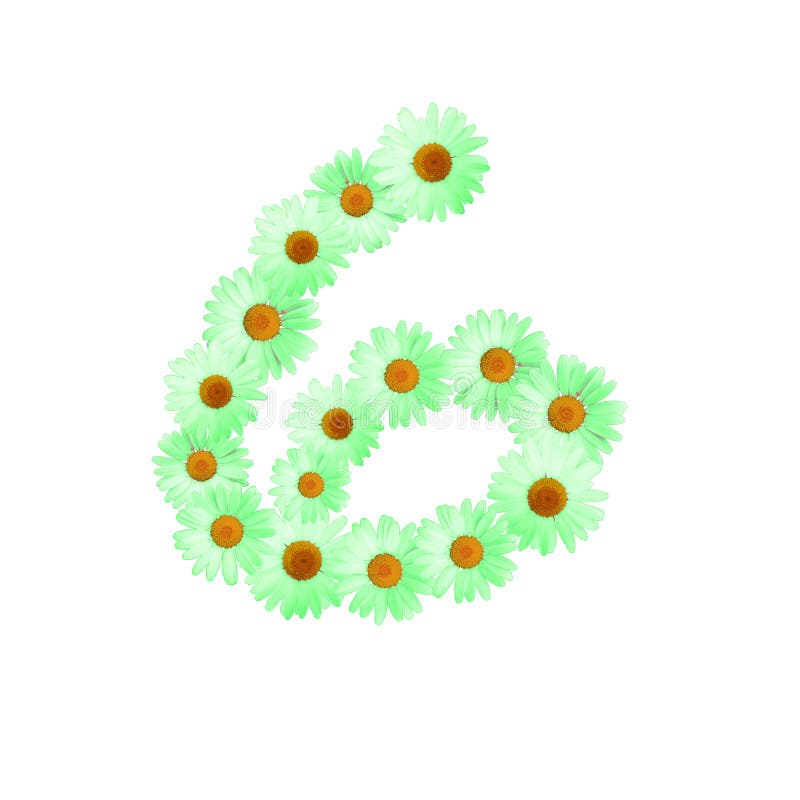Daisy Number Stock Illustrations – 1,191 Daisy Number Stock ...