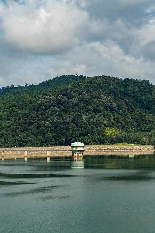 Green Dam Lake with Rainforest Trees Stock Photo - Image of blue ...