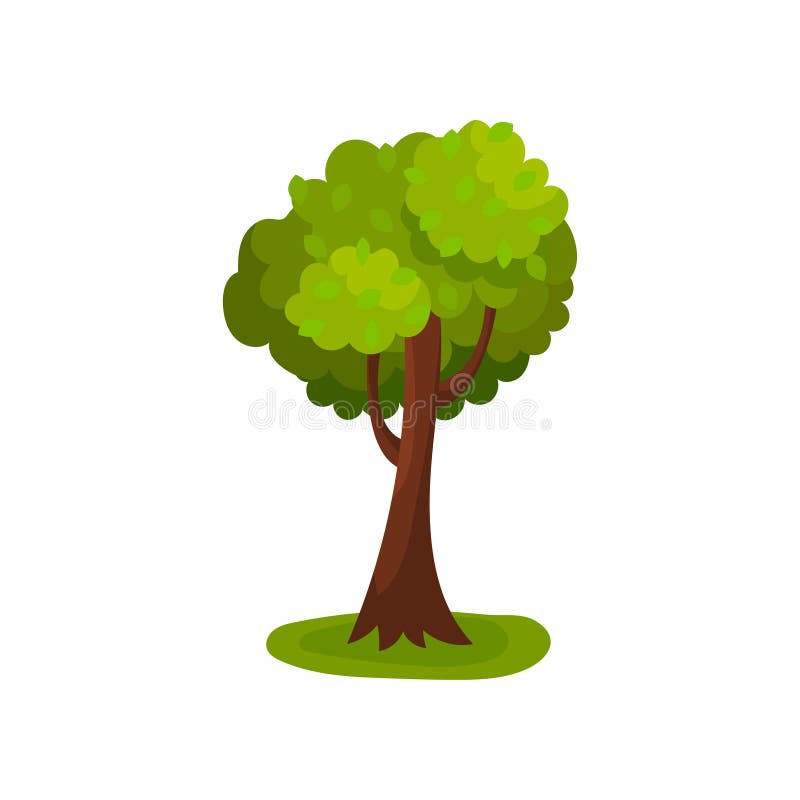 Green Deciduous Tree with Round Crown Vector Illustration Stock Vector ...