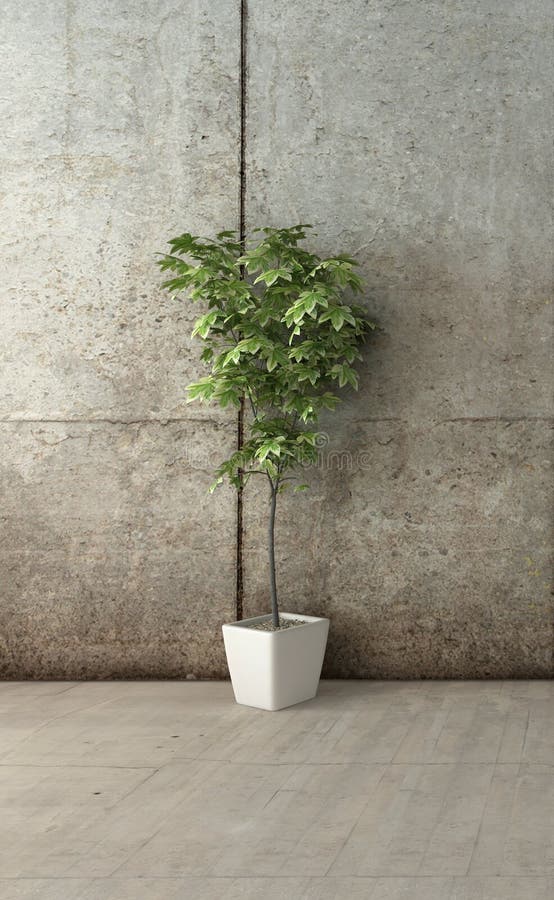 Green Decorative Plant in a White Rectangular Pot Stock Illustration ...