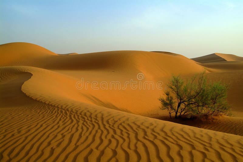Namib desert stock image. Image of sussusveli, sand, remoteness - 10856505