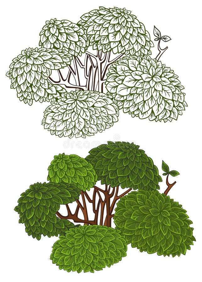 Green Detailed Bush Contour and Color Stock Vector - Illustration of ...