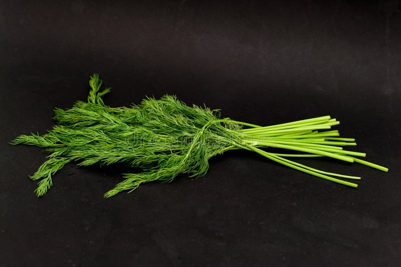 Green dill. Macro photo stock photo. Image of cuisine - 252740260