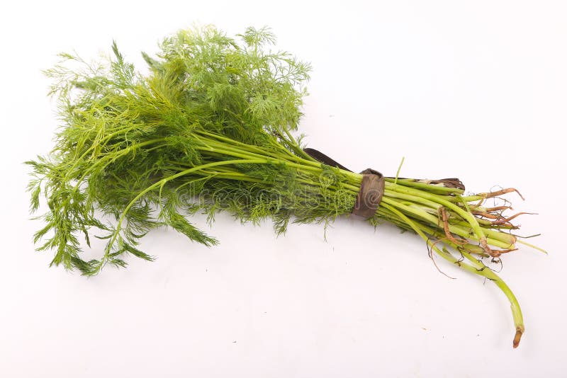 Dill Pack Egyption Vegetables Stock Image - Image of gourmet, bulb ...