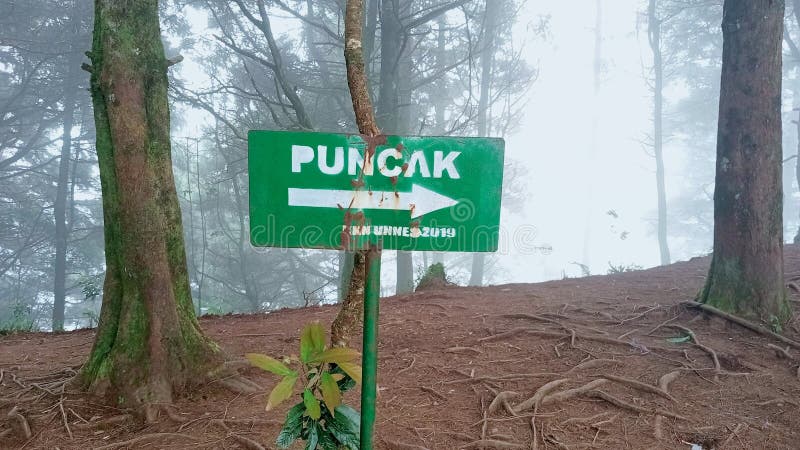 The Green Direction Sign with White Writing Indicates the Direction of ...