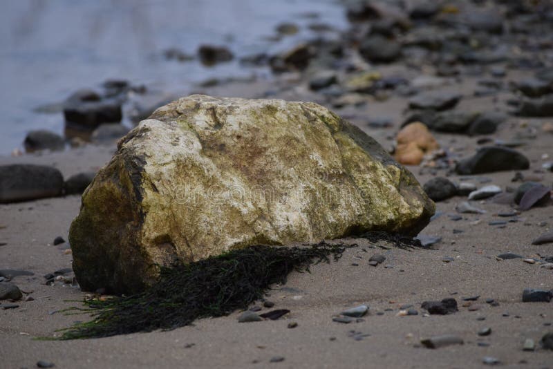 Green Discoloration of a Stone Due To Algae Stock Image - Image of ...