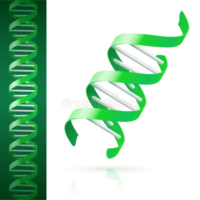 3d Abstract Green DNA Spiral with Reflection Stock Illustration ...