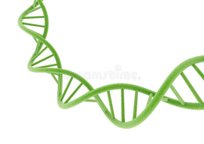 Green Chromosome Stock Illustrations – 2,203 Green Chromosome Stock ...