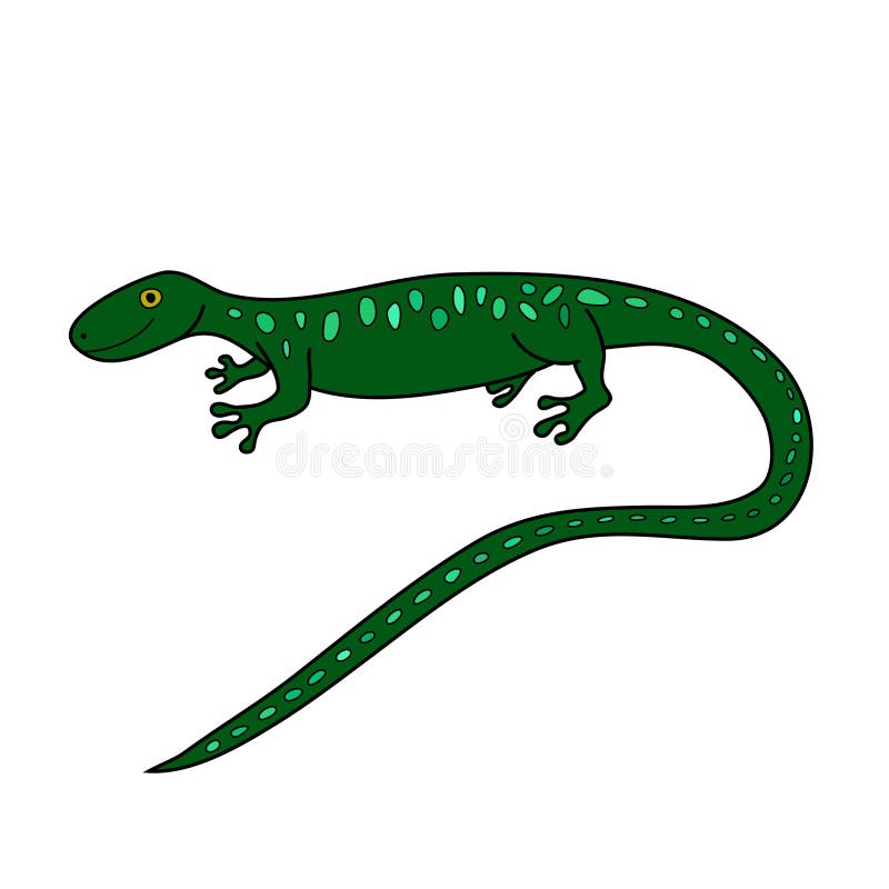 Green doodle lizard stock illustration. Illustration of sketch - 90689444