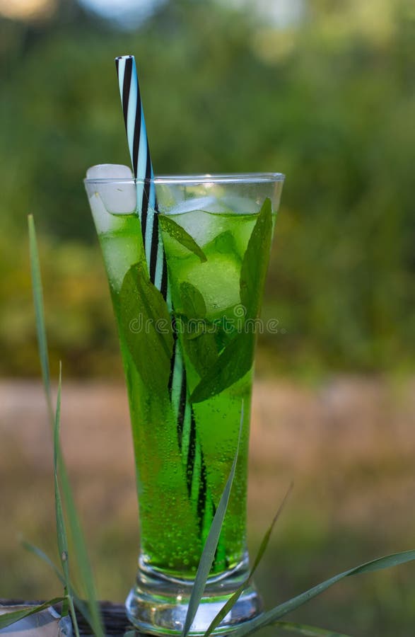Green Drink with Ice and Mint. Stock Photo - Image of alcohol, summer ...