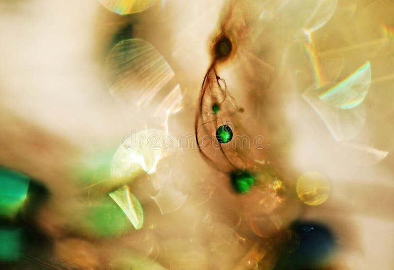 Green drop stock photo. Image of lovely, abstract, flower - 65772316