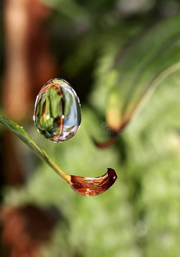 Crystal Baloon Green Stock Photos - Free & Royalty-Free Stock Photos ...