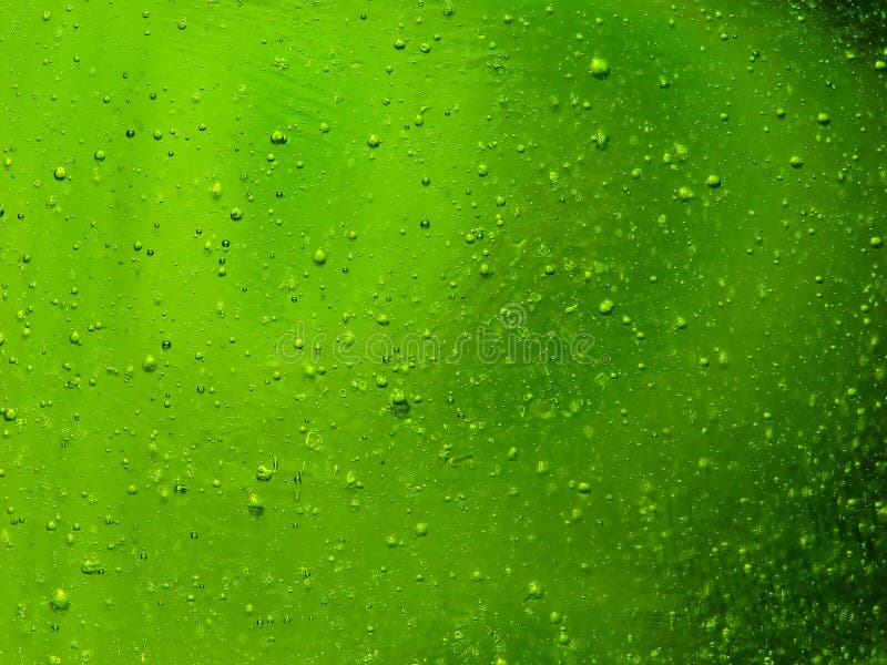 Green drops stock photo. Image of fresh, color, liquid - 31254666