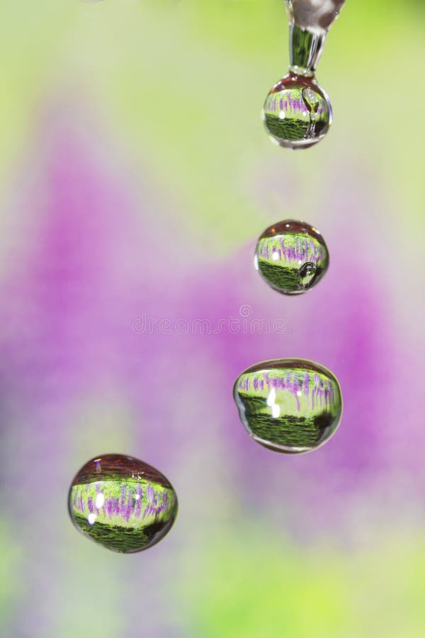 Green drops of water stock image. Image of drop, flower - 34930541