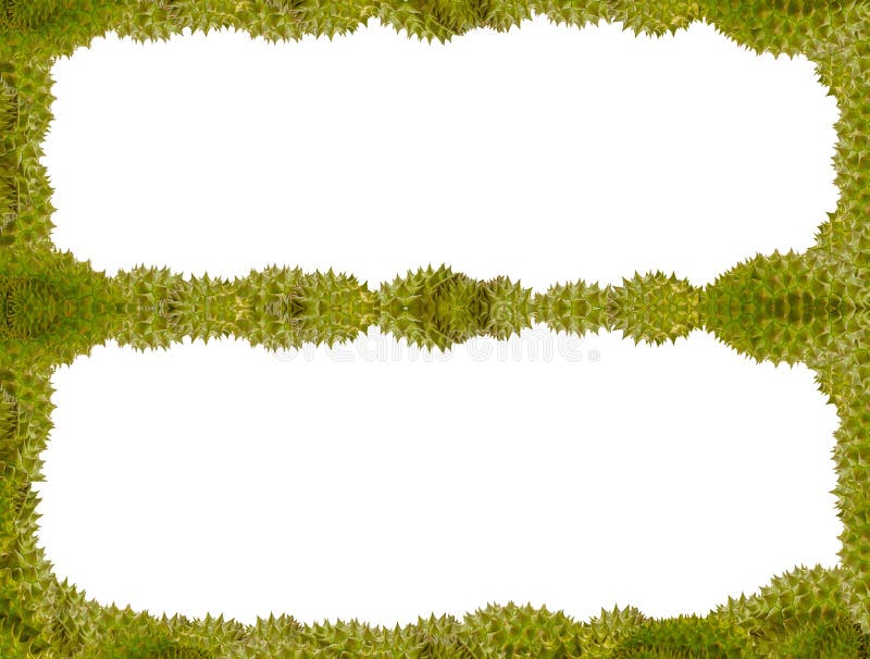 Green Durian Volumetric Framework Barbed Border on White Background ...