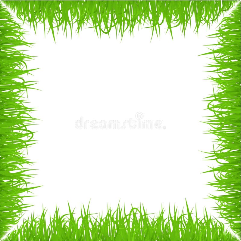 Green Early Spring Grass Frame On White Background. Realistic Eco ...
