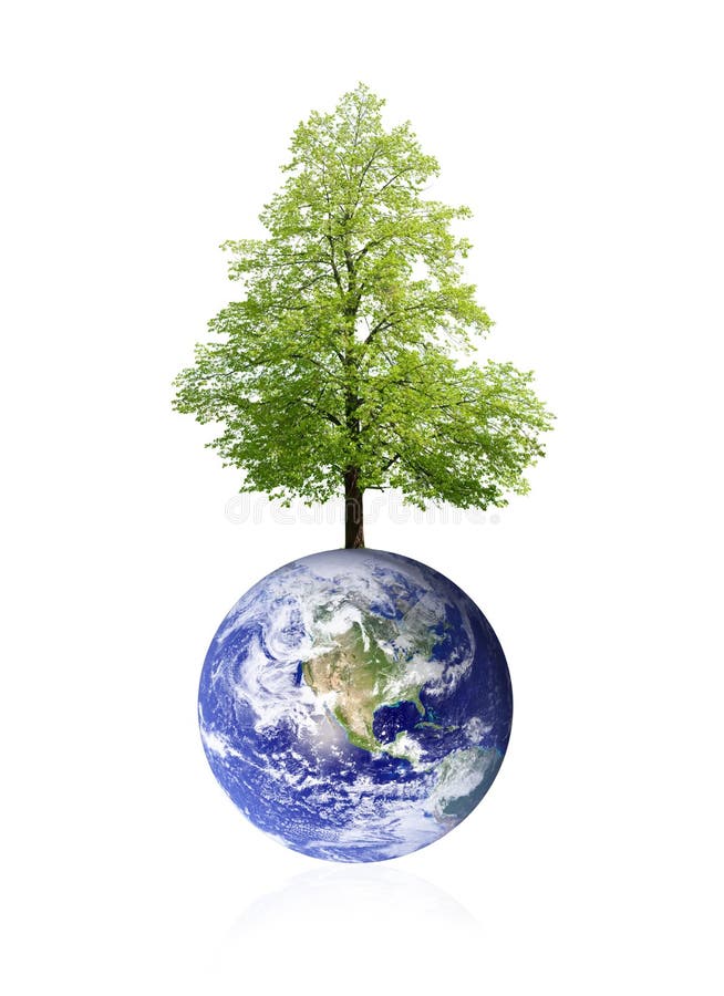 Tree growing from earth stock image. Image of earth, grow - 8481435
