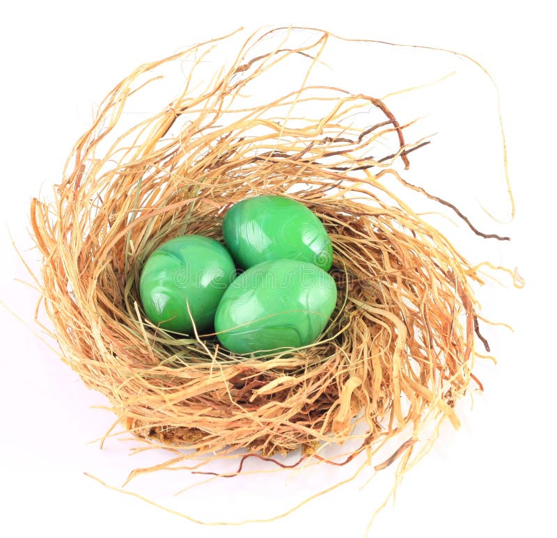 Green eggs stock photo. Image of straw, animal, birds - 7989762