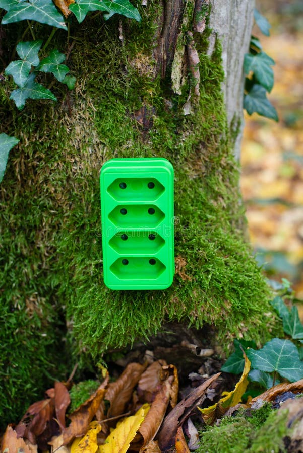 Green Electricity Socket on a Tree Trunk, Substainable Renewable Energy ...
