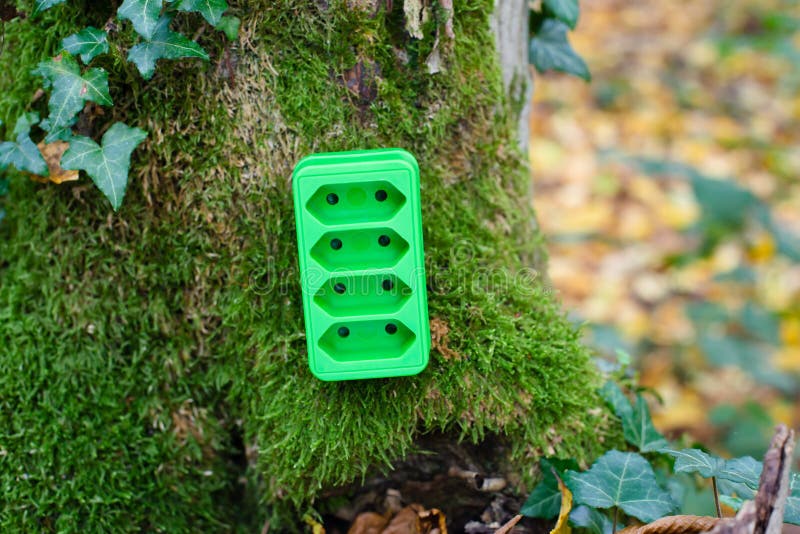 Green Electricity Socket on a Tree Trunk, Substainable Renewable Energy ...