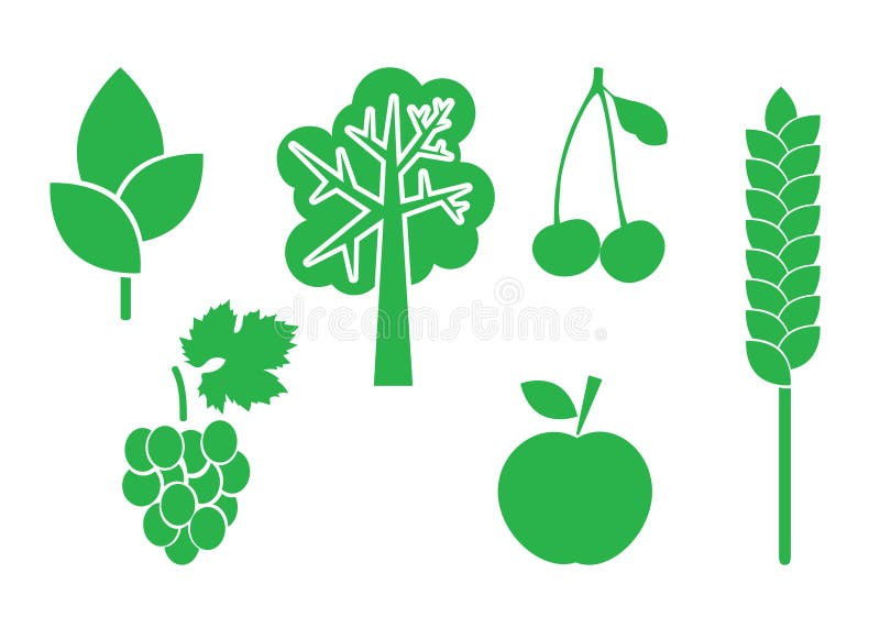 Green Vector Elements of Nature - Set Stock Vector - Illustration of ...