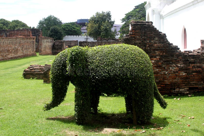 Green elephant stock photo. Image of wall, green, elephant - 22438792