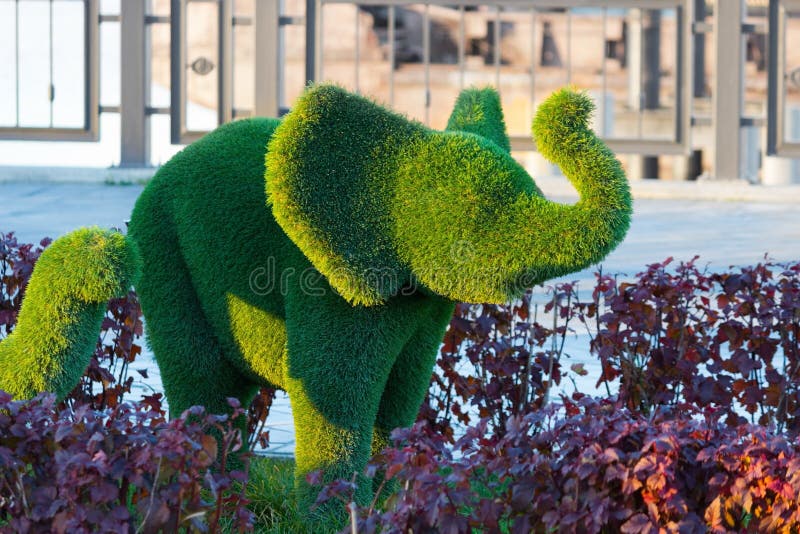 Green Elephants Made by Clipping Trees Stock Image - Image of beautiful ...