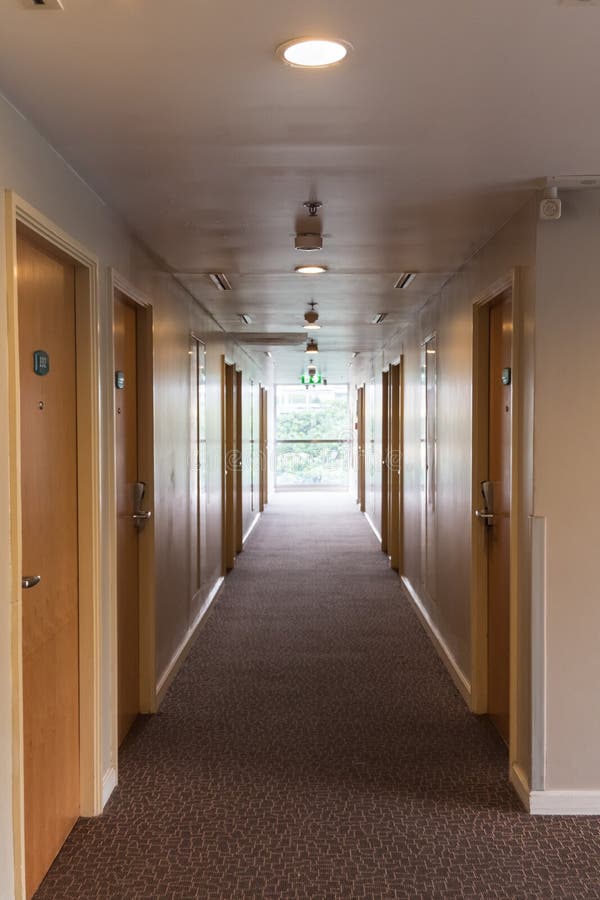 Fire exit light sign. stock image. Image of light, plan - 112180373