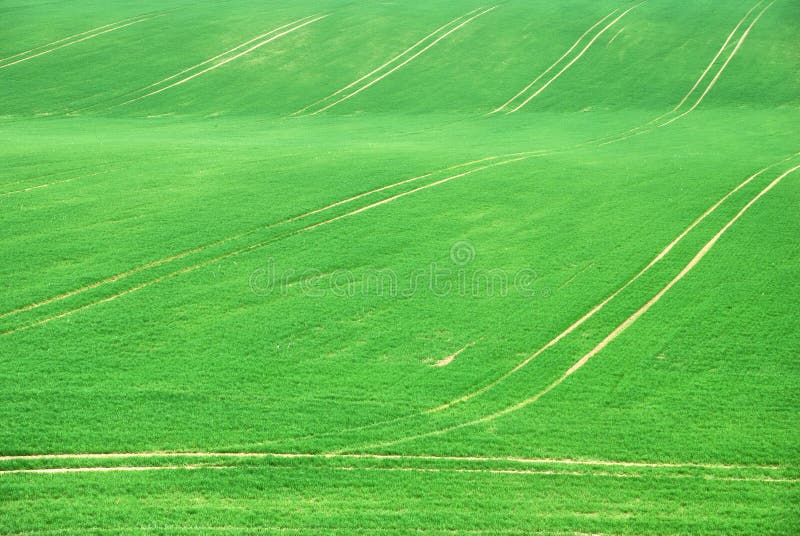 Green empty farm field stock photo. Image of field, growth - 30840738