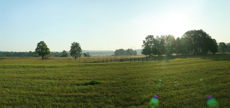Green Empty Field with Trees and Lens Flare Stock Image - Image of ...