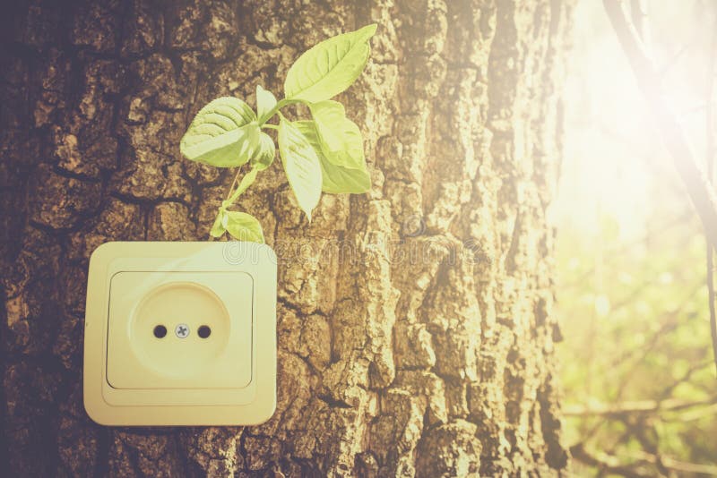 Green Energy Concept, Power Socket in Tree Trunk Stock Image - Image of ...