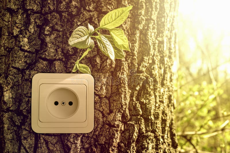 Green Energy Concept, Power Socket in Tree Trunk Stock Photo - Image of ...