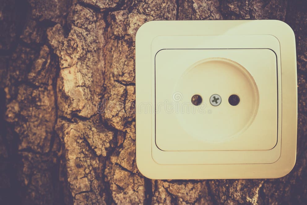 Green Energy Concept, Power Socket in Tree Trunk Stock Photo - Image of ...