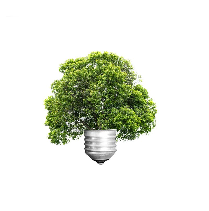 Green Energy Eco Concept, Tree Growing Out of Bulb,Trees Isolate Stock ...