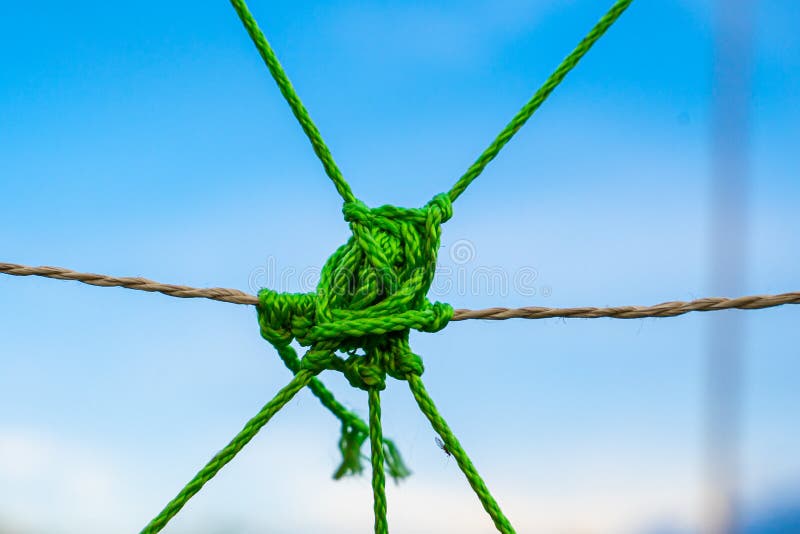 Many Entangled Line Infront of Bluesky Stock Photo - Image of knot ...