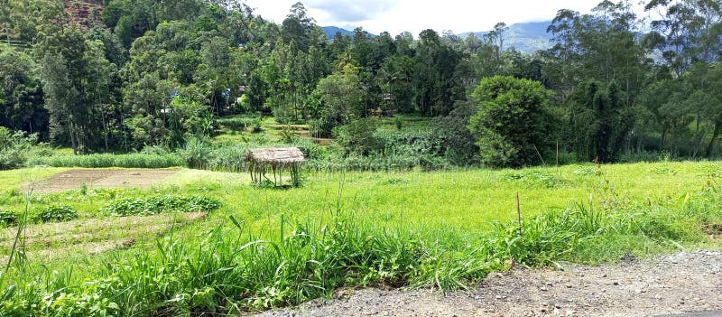 Green Environment and Mountain Range in the Distance Stock Photo ...