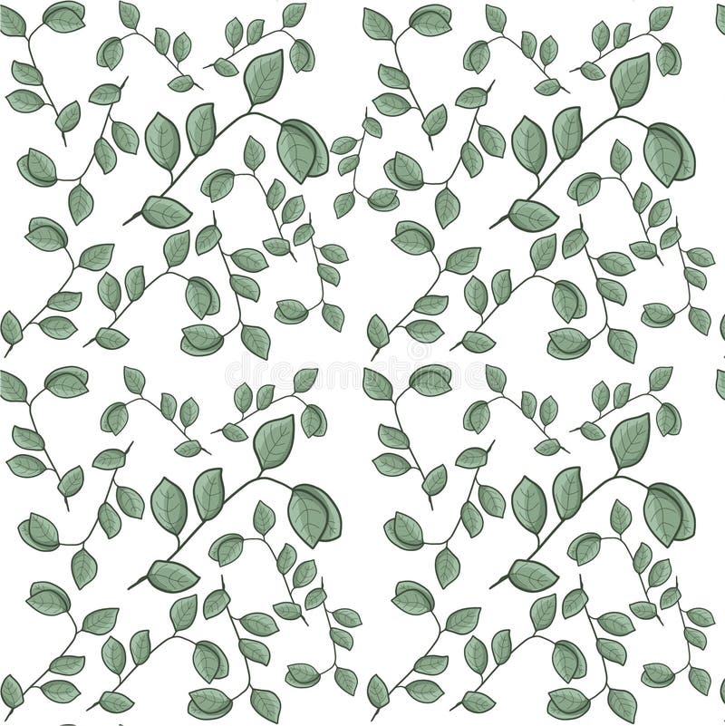 Green Eucalyptus Seamless Pattern Repeat Background Stock Vector ...