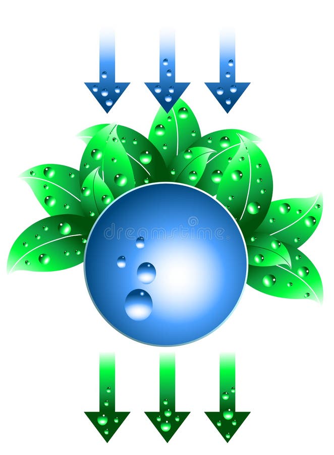 Green Evolution stock vector. Illustration of concept - 6767767