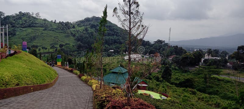 Green Expanse and Charming Sky Indonesia Natural Beauty Stock Photo ...