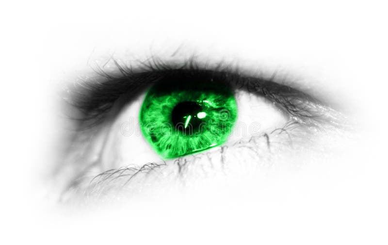Green eye stock image. Image of eyeball, eyesight, iris - 19019017