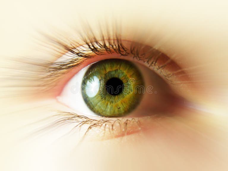 Green Eye stock image. Image of faces, eyeball, focus - 6211183