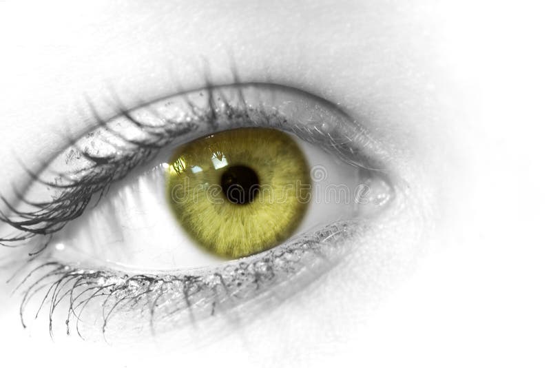 Green eye stock photo. Image of look, reflection, light - 624314