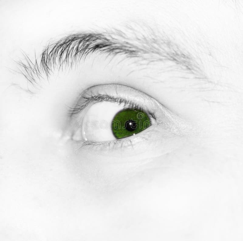 Green eye stock photo. Image of creating, drawing, human - 1982996