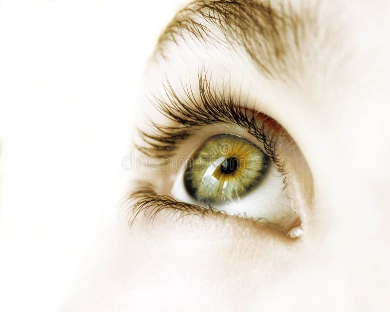 Green vision-eye stock photo. Image of abstract, climate - 28855616