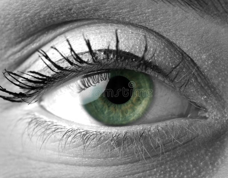 Green eye stock image. Image of look, black, beautiful - 71284913