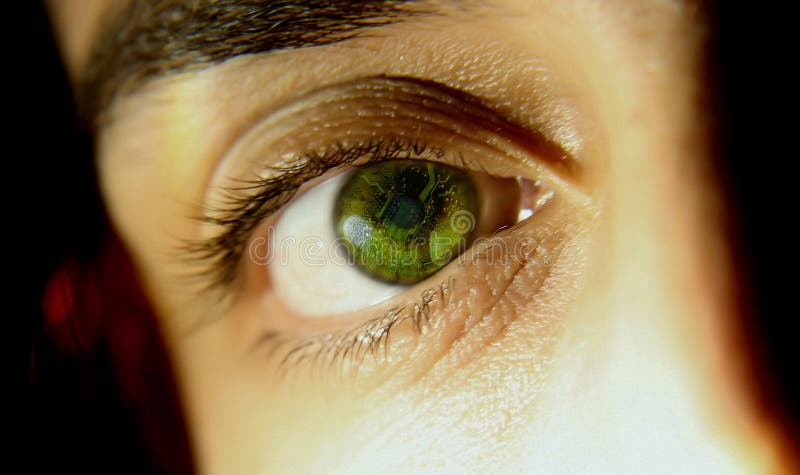 Green eye closeup stock photo. Image of person, eyelid - 5750598