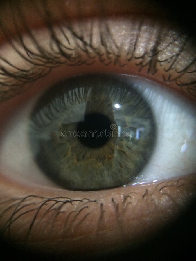 Green eye stock image. Image of green, macro, lens - 53969257